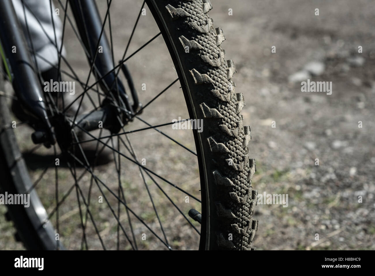 Bicycle wheel close up on the background of the road Stock Photo - Alamy