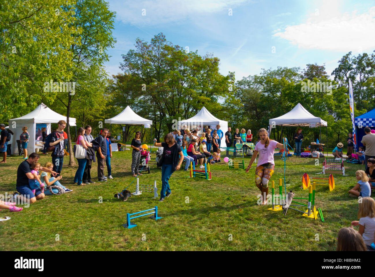 Race course for rabbits and small dogs, pet event, Parukarka park ...