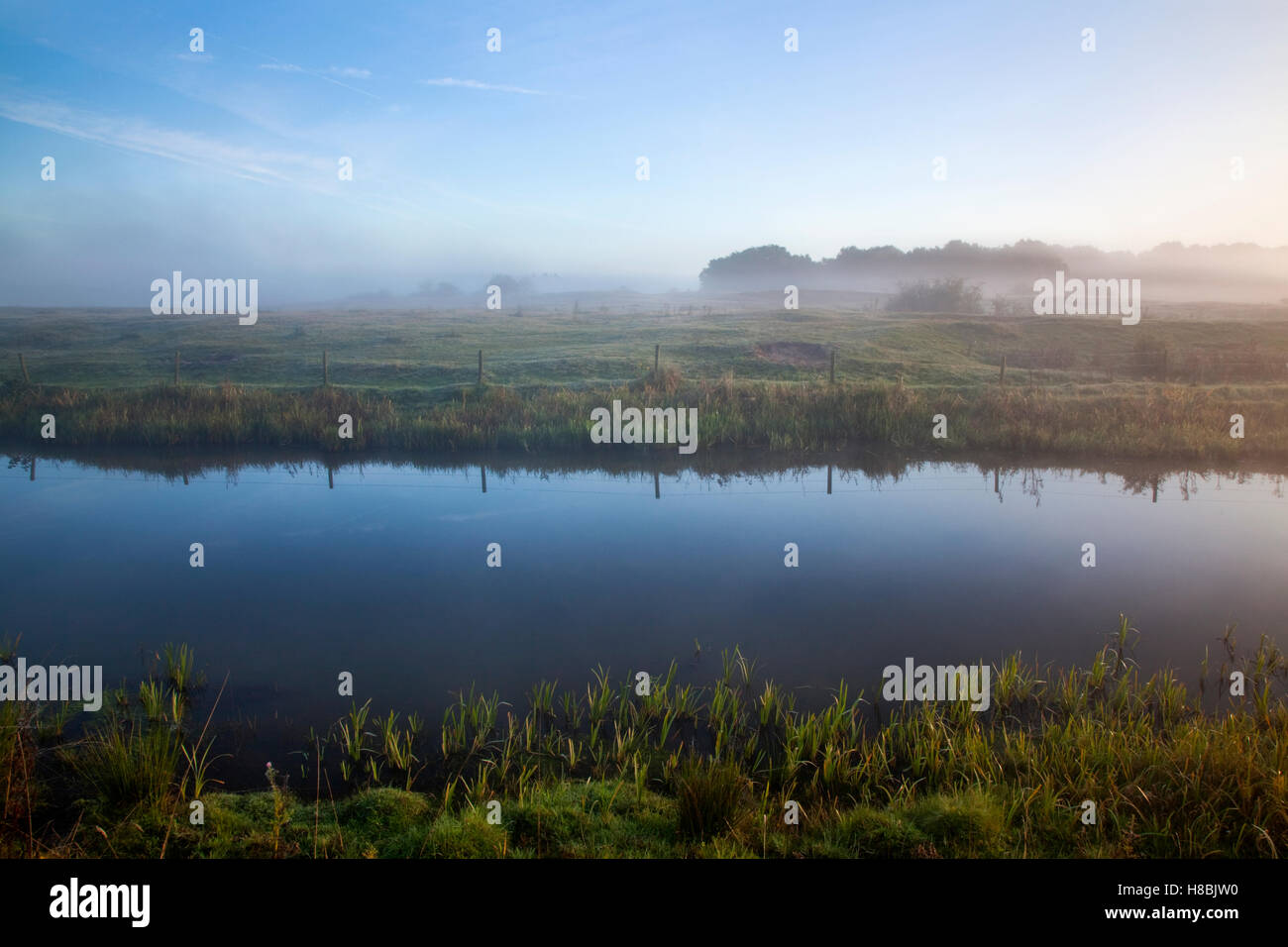 Mist over field and channel at sunrise, Junner Koeland Nature Reserve ...