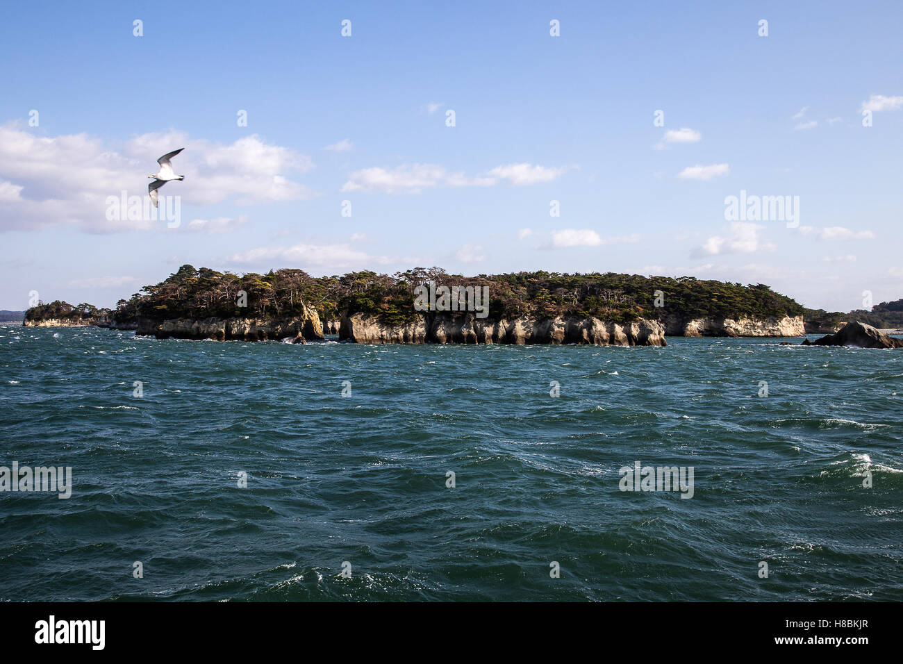 Matsushima bay hi-res stock photography and images - Alamy