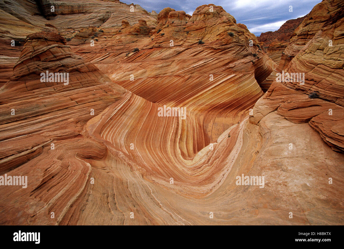 The Wave, Paria Canyon, Arizona Stock Photo - Alamy
