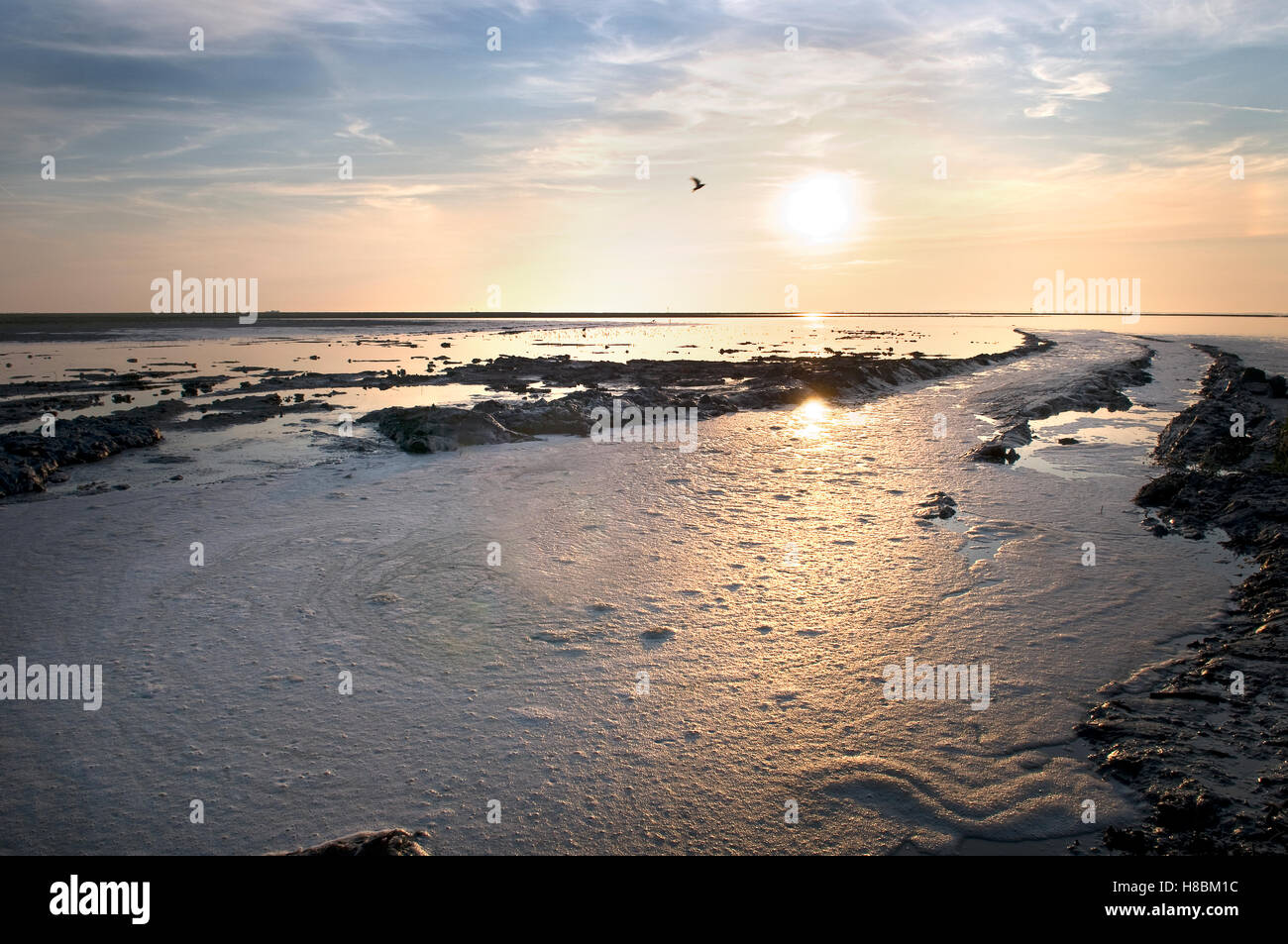 Sunset over Wadden Sea, Holwerd, Friesland, Netherlands Stock Photo - Alamy