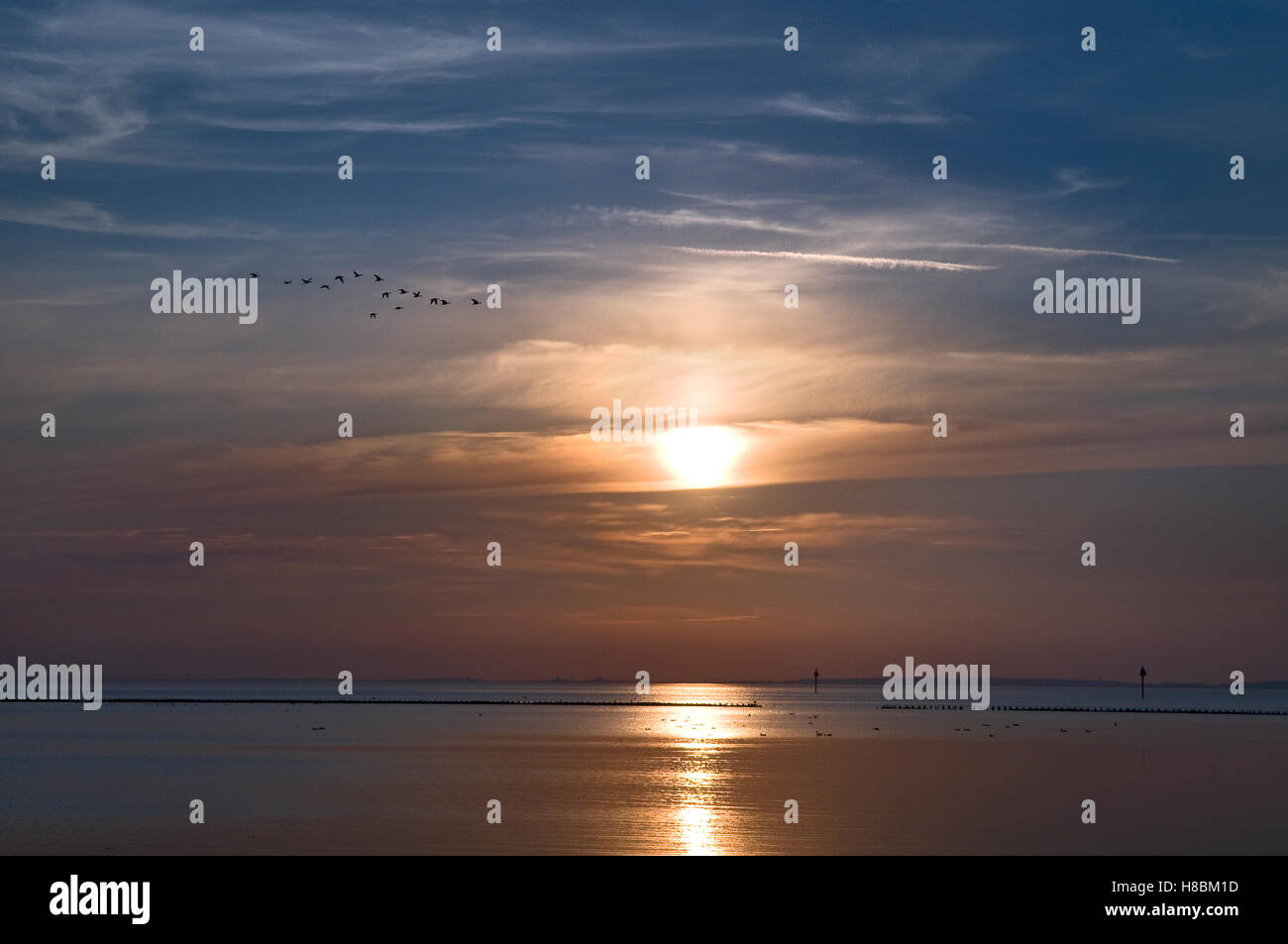 Sunset over Wadden Sea, Holwerd, Friesland, Netherlands Stock Photo - Alamy
