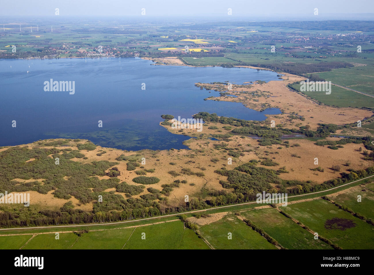 Dummer See, Lembruch, Lower Saxony, Germany Stock Photo - Alamy