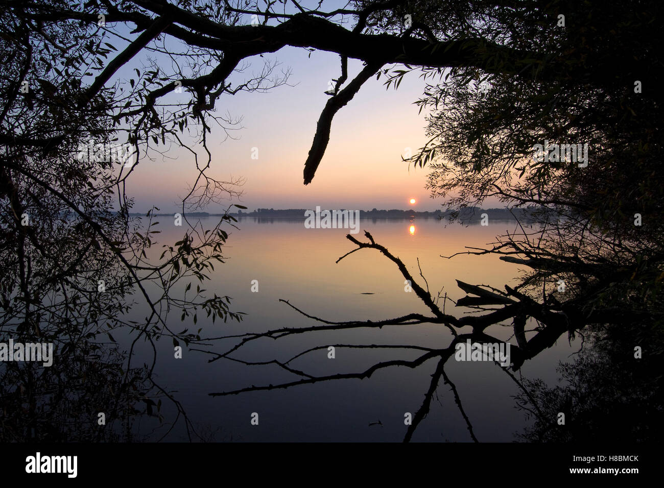 Sunset, Dummer See, Germany Stock Photo - Alamy