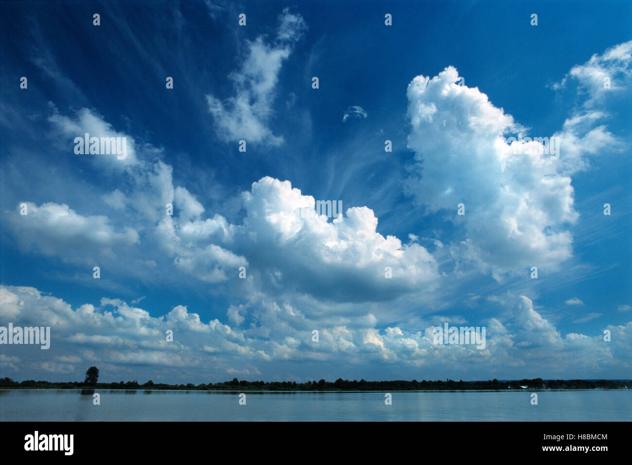 Dummer See, Lembruch, Lower Saxony, Germany Stock Photo - Alamy