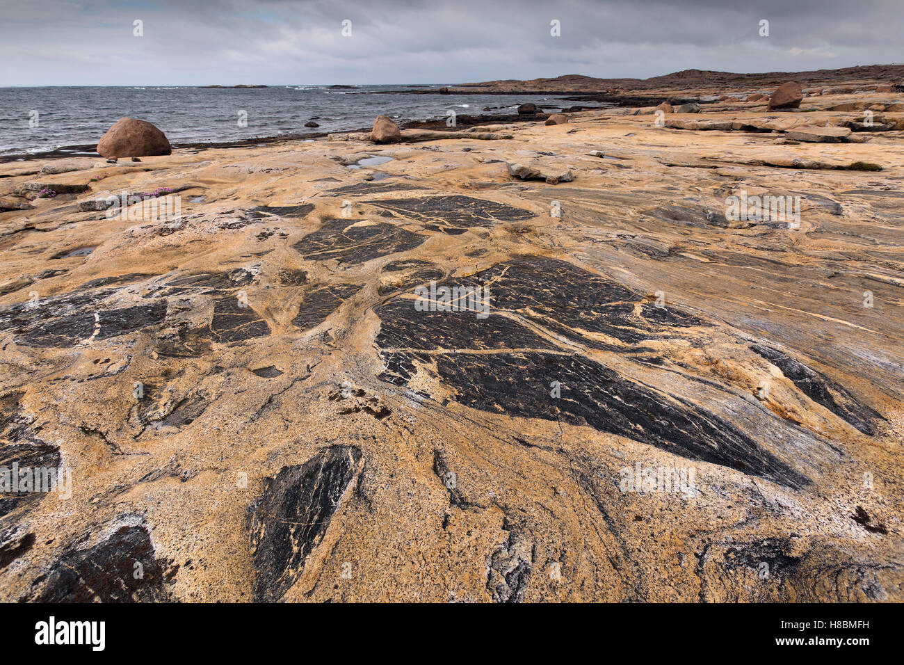 Granite plain with diabase dikes, Ramsvikslandet, Sweden Stock Photo ...