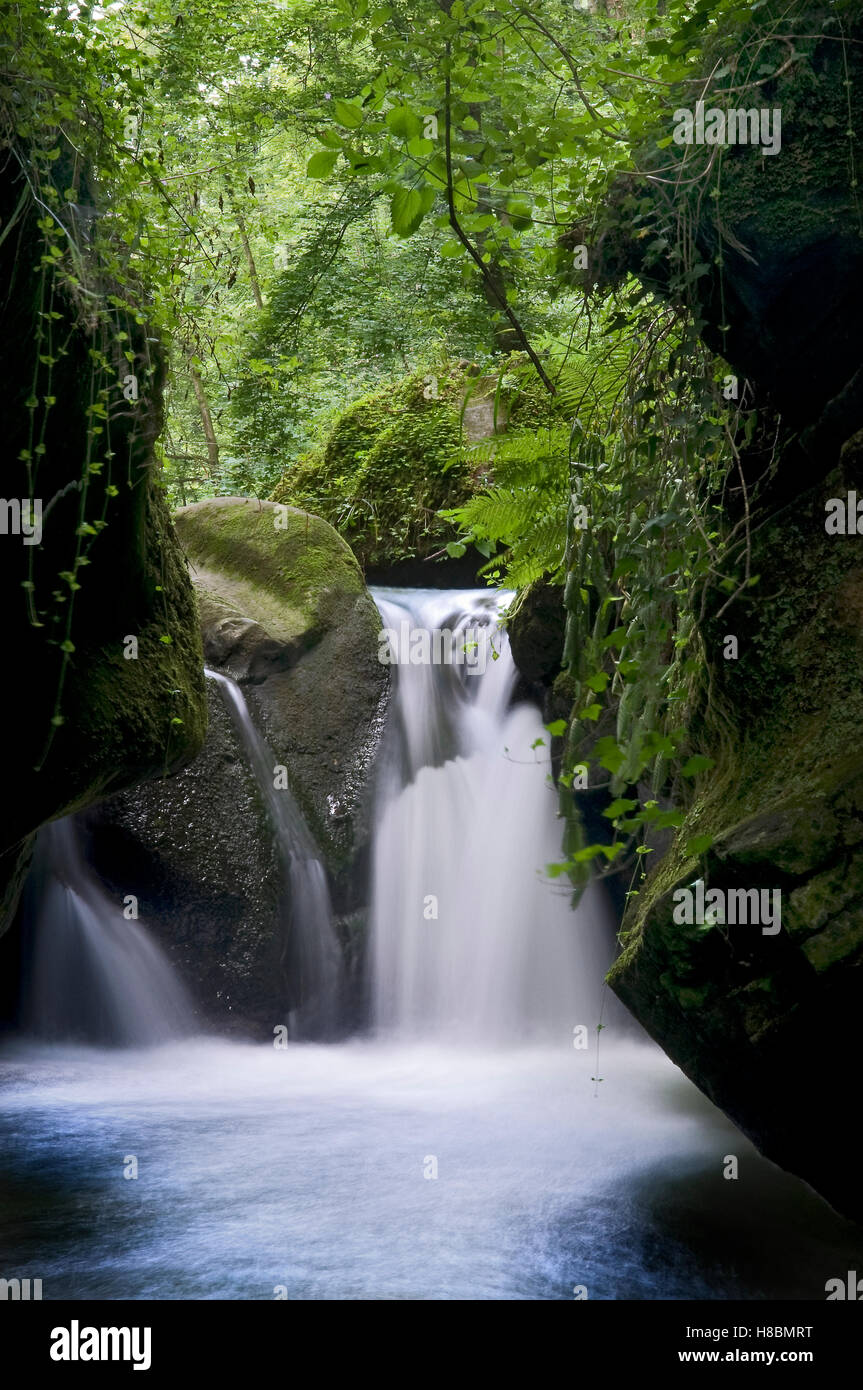 Waterfall, Mullerthal, Luxembourg Stock Photo - Alamy