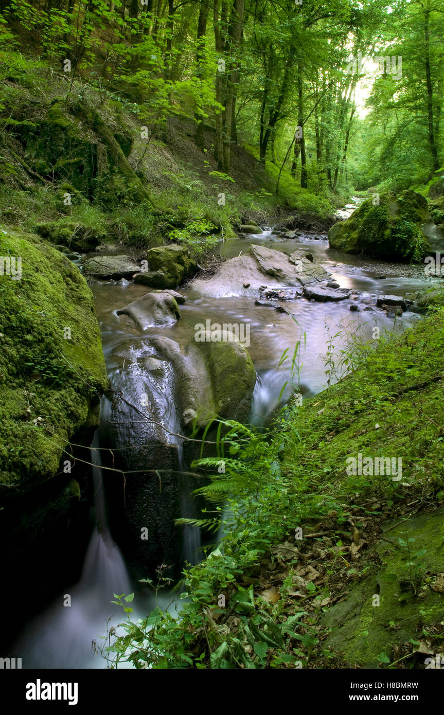 Waterfall, Mullerthal, Luxembourg Stock Photo - Alamy