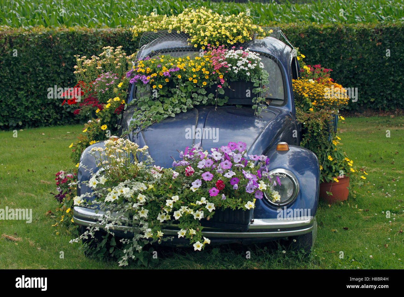 Volkswagen vehicle being used as a flower planter, Netherlands Stock ...