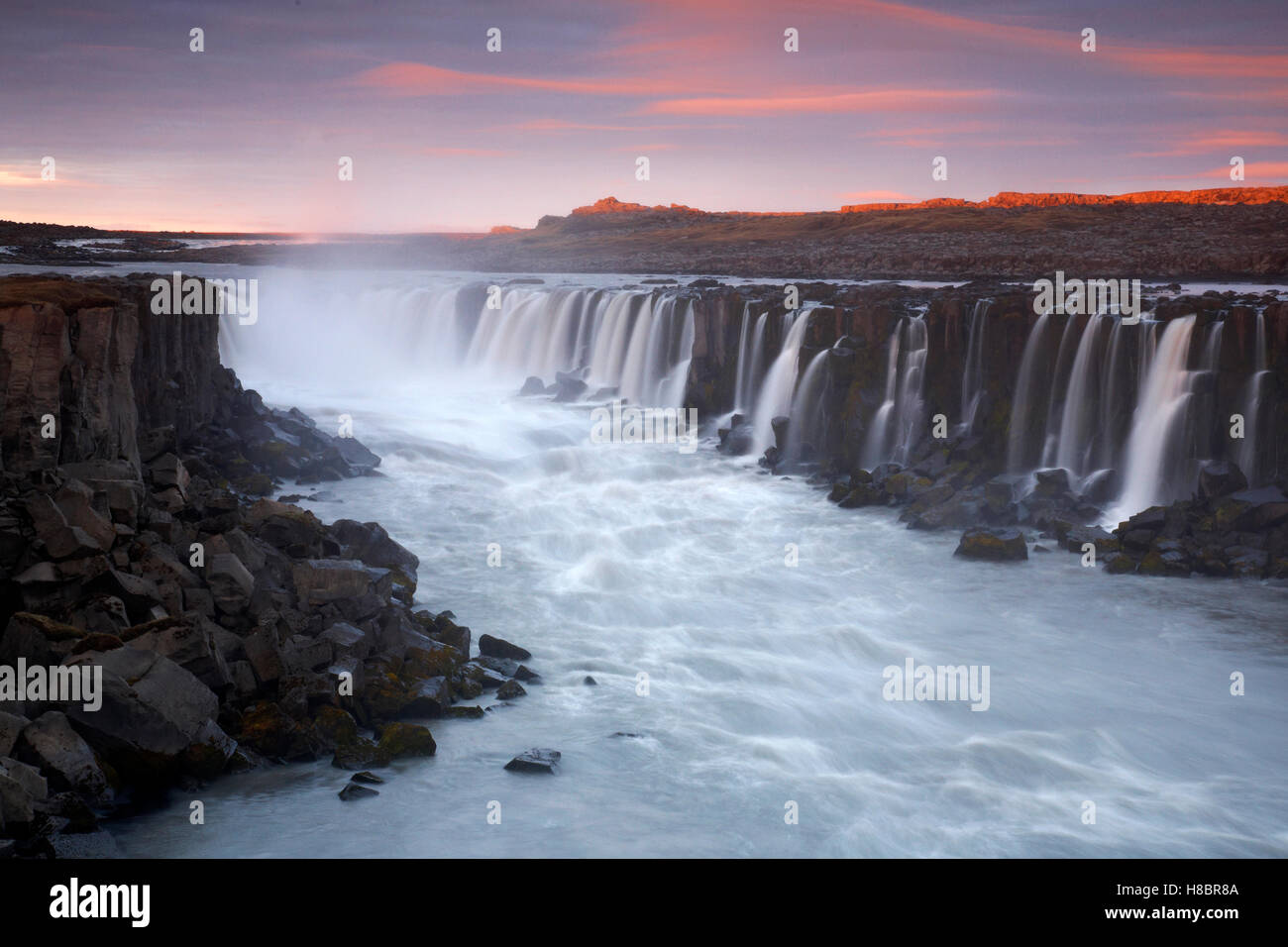 Waterfall at sunrise, Selfoss Waterfall, Iceland Stock Photo - Alamy