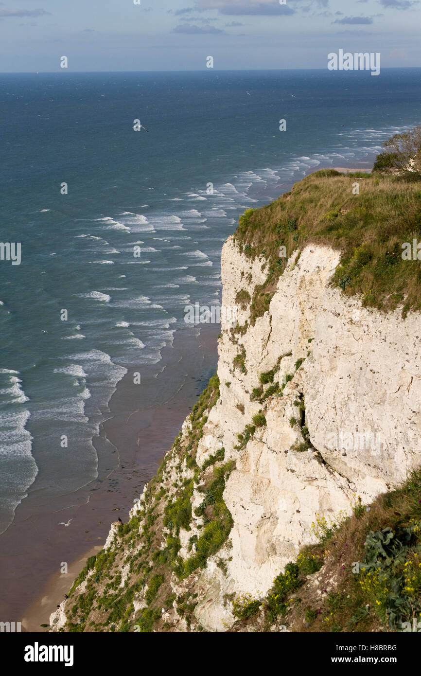Coastal landscape showing chalk cliffs, Cap Blanc Nez, Pas-de-Calais ...