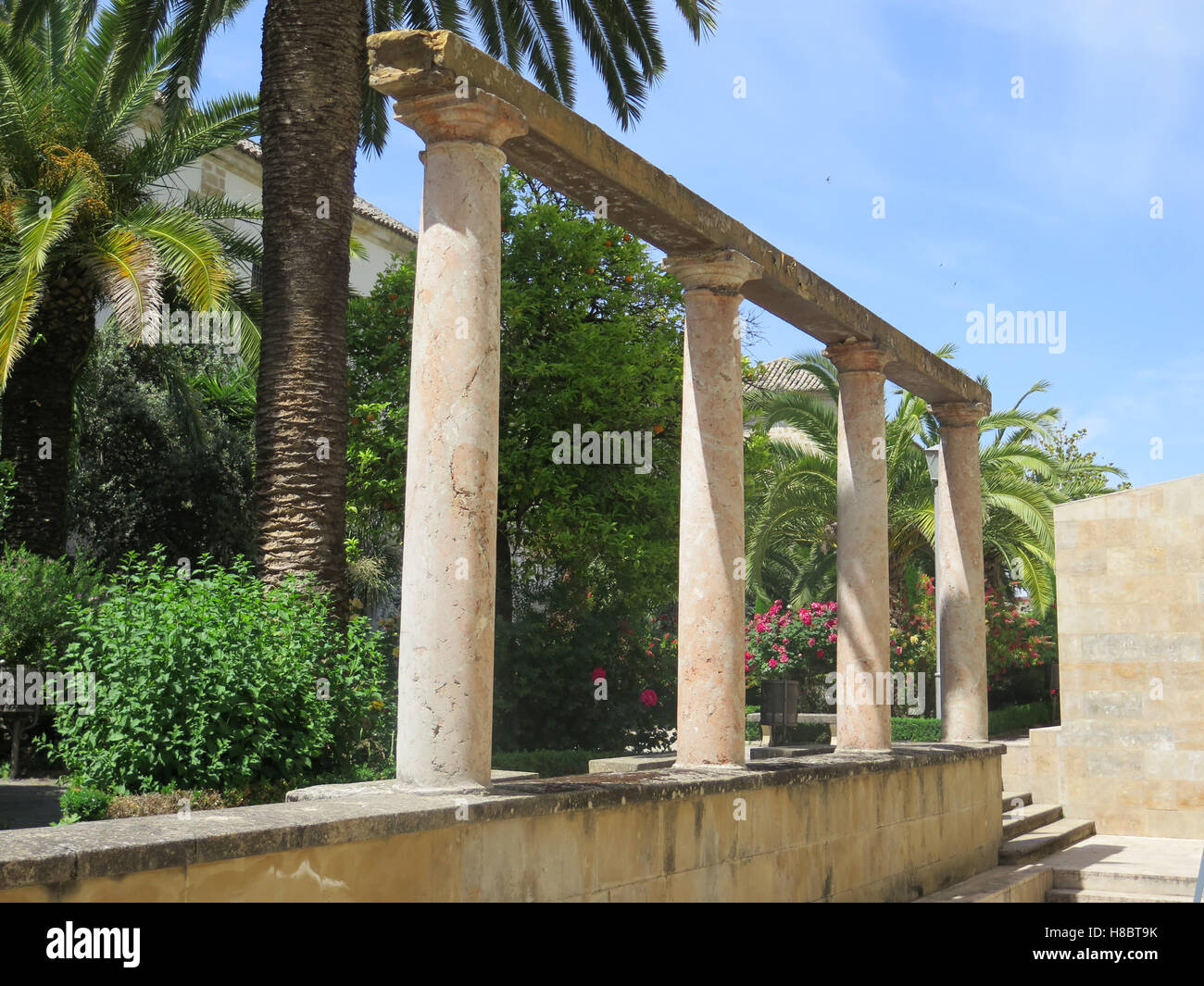 Palm tree and columns in town of Baeza, Andalusia Stock Photo - Alamy