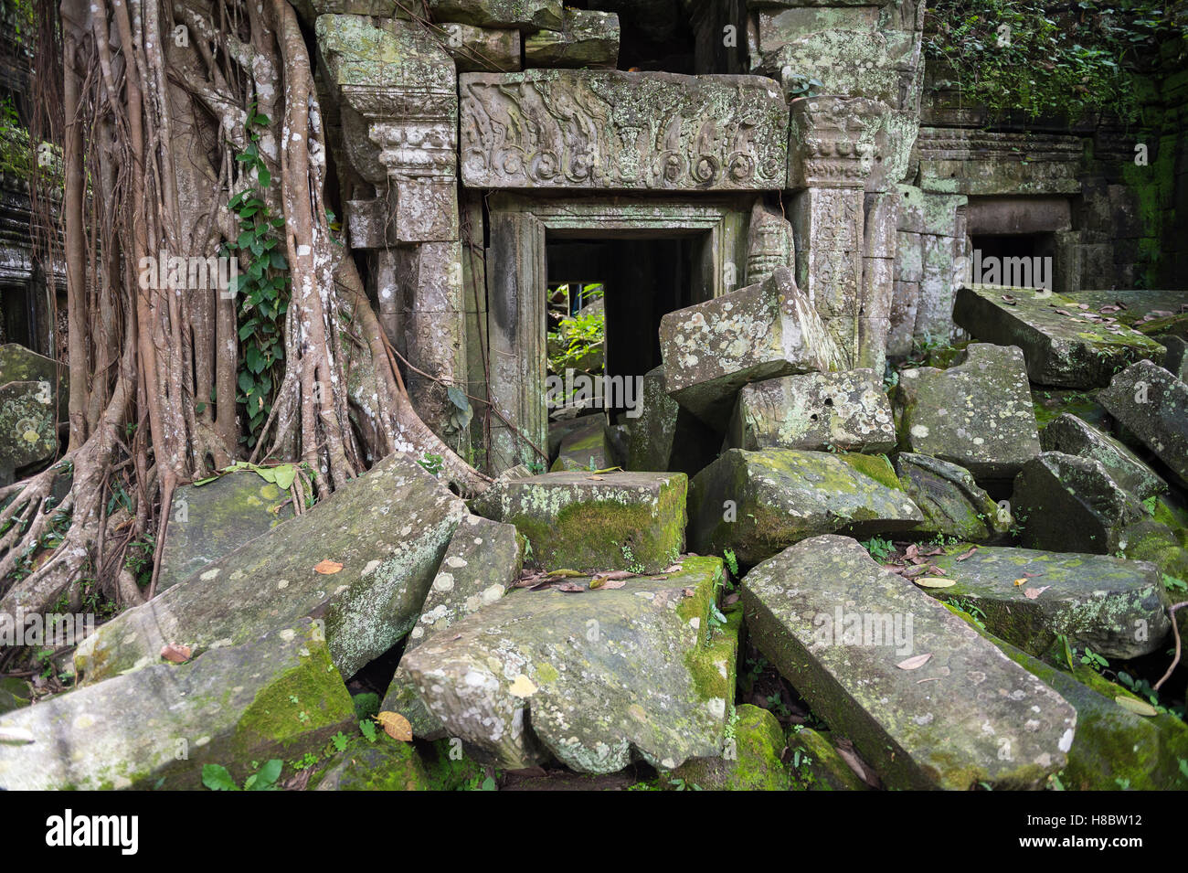Crumbling stone architecture of Ta Prohm temple at the Angkor complex ...