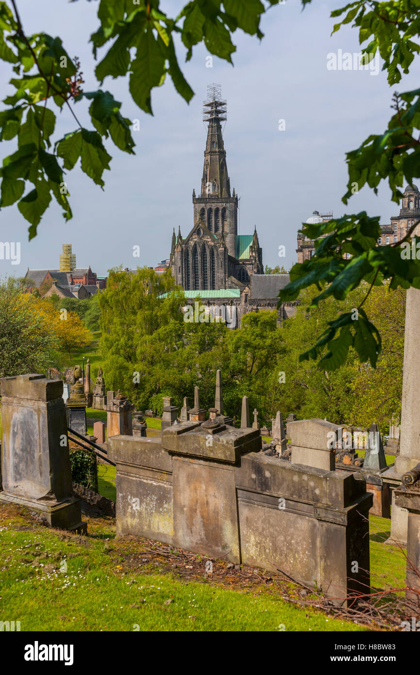 Looking towards St Mungo's cathedral in Glasgow from the eastern ...