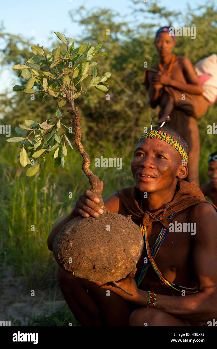 Khoisan hi-res stock photography and images - Alamy