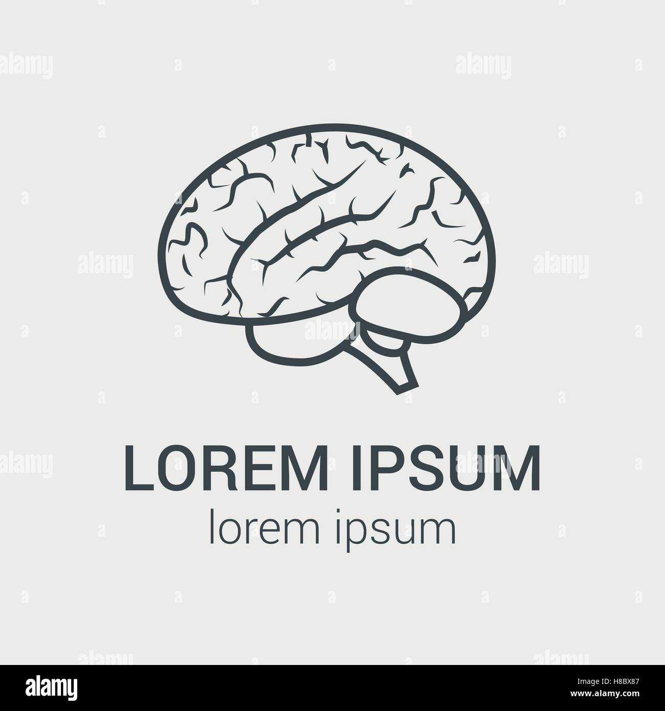 Vector outline illustration of human brain on gray background. Single ...