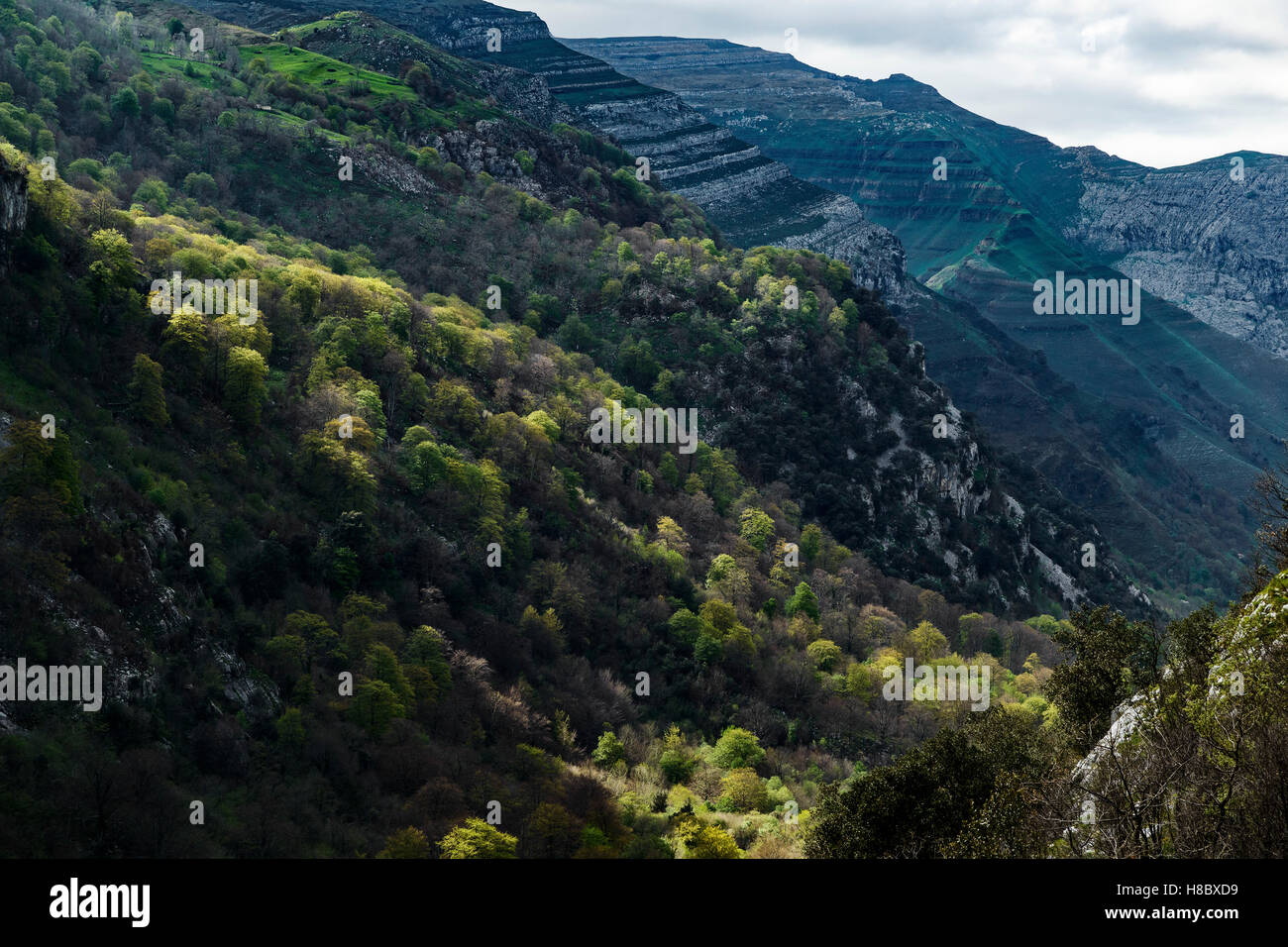 Ason river hi-res stock photography and images - Alamy