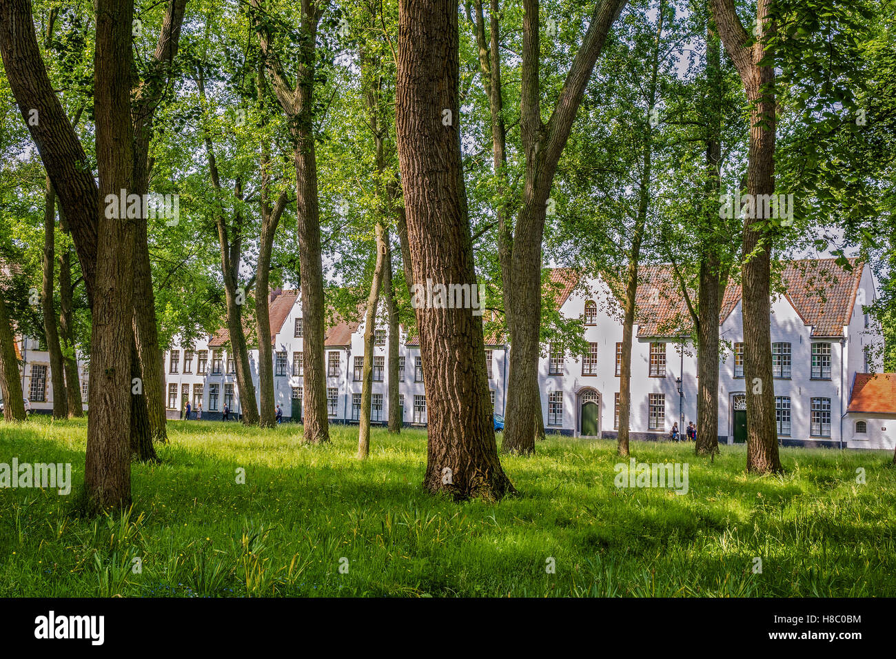 Begijnhof Convent for Benedictine Nuns Bruges Belgium Stock Photo - Alamy