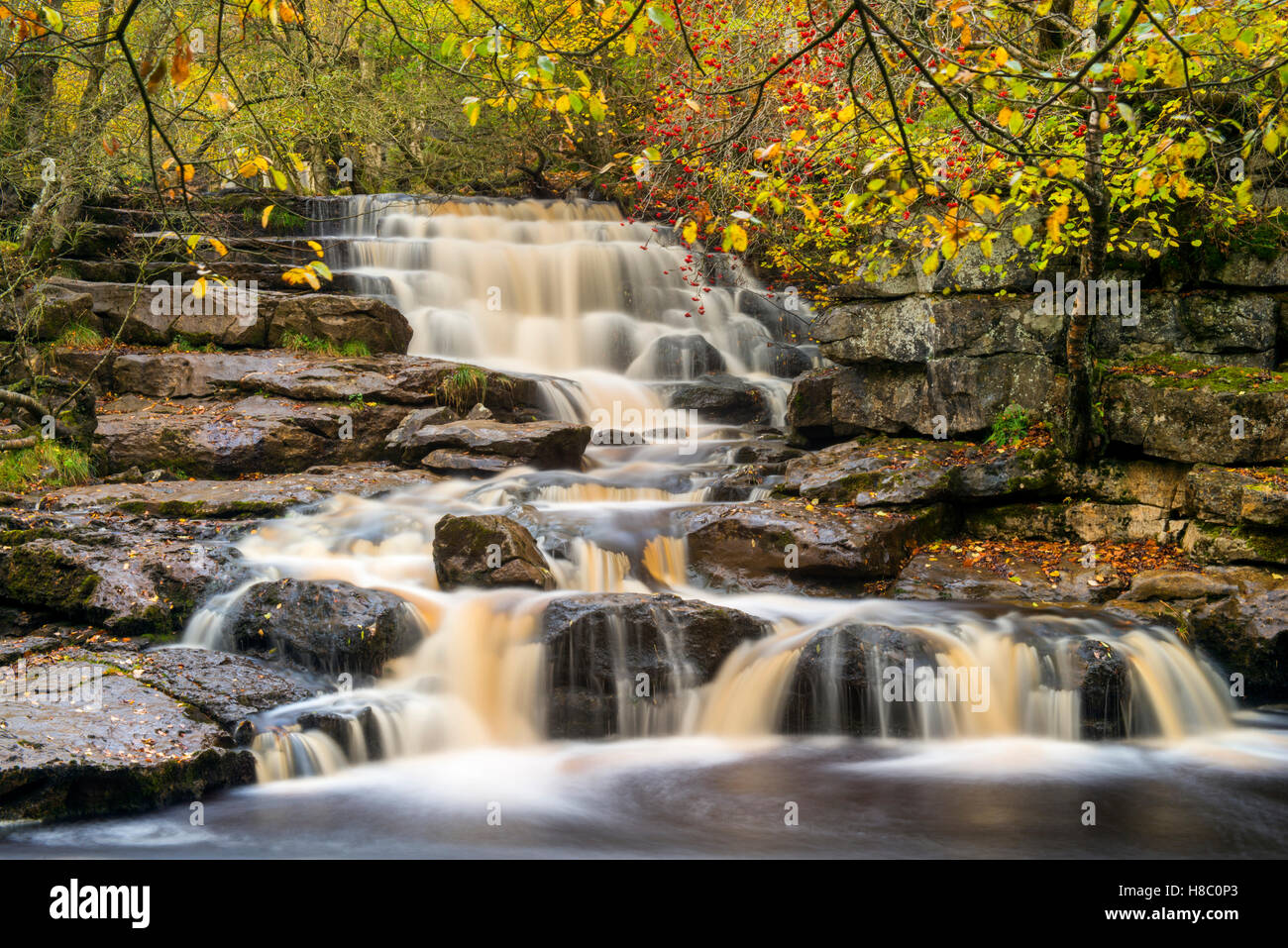 Catrake force waterfall river swale hi-res stock photography and images ...