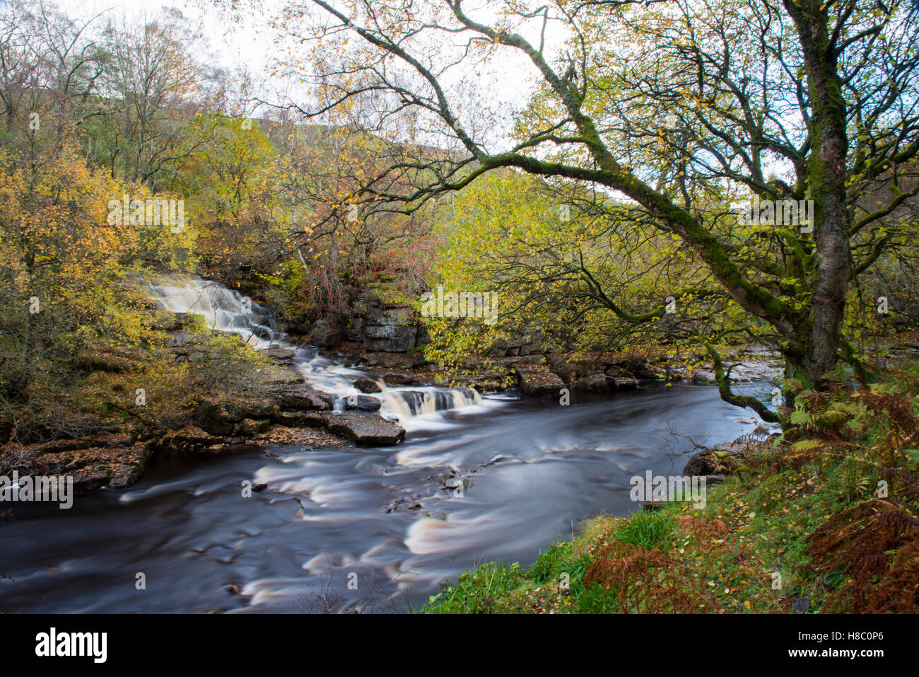 Catrake force waterfall in keld hi-res stock photography and images - Alamy