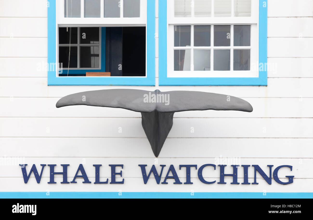 Whale watching building facade with whale tale in Azores. Portugal ...