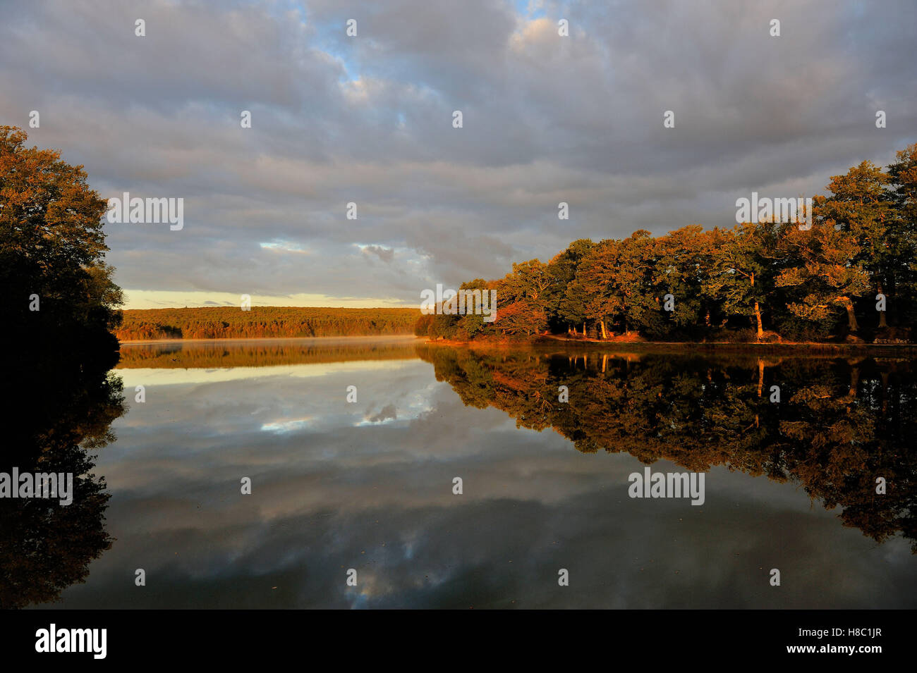 Paimpont brittany north western hi-res stock photography and images - Alamy