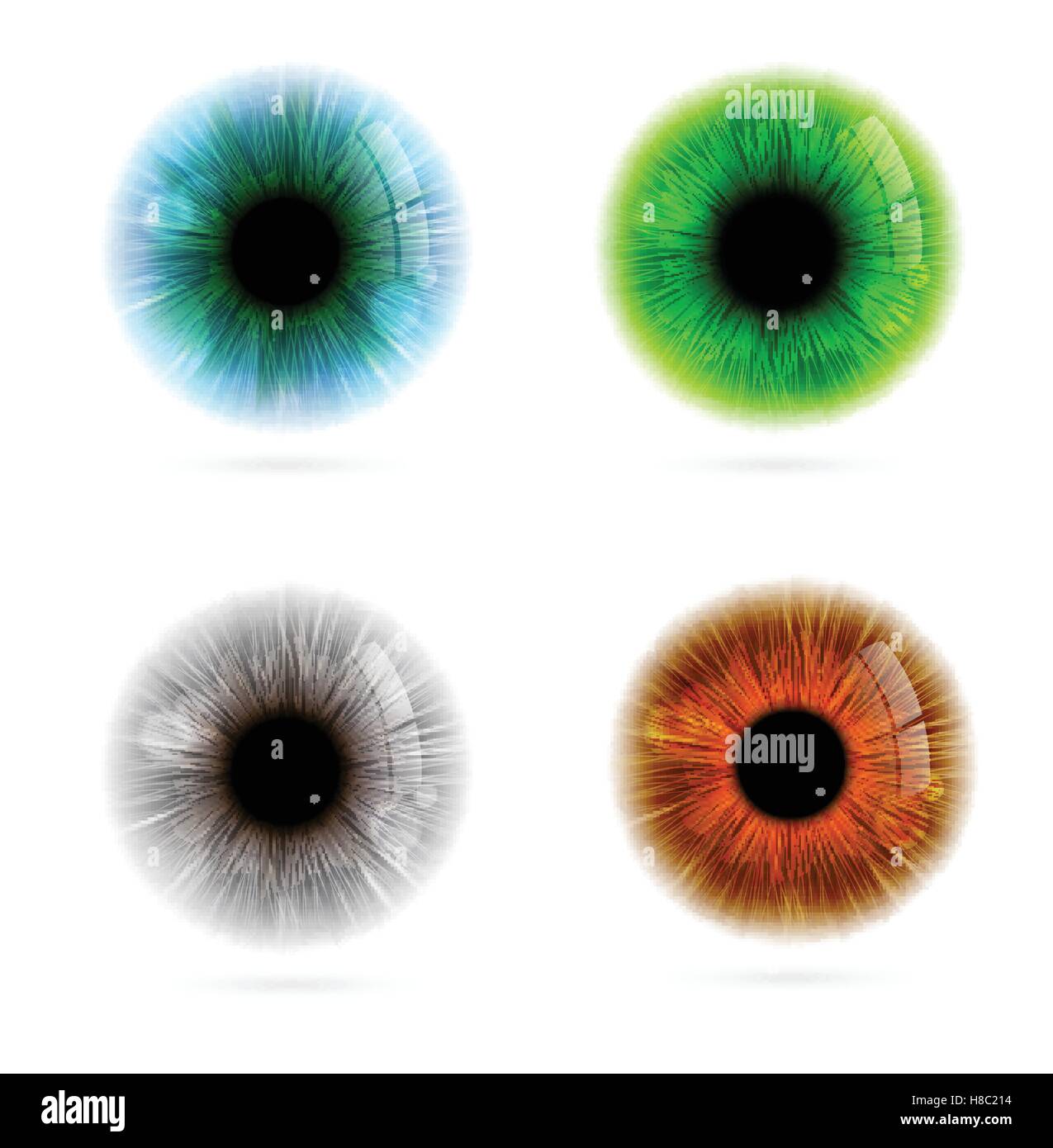 Human eye color Stock Vector Image & Art - Alamy