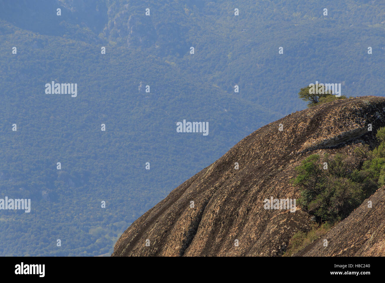 Rock tree landscape hi-res stock photography and images - Alamy