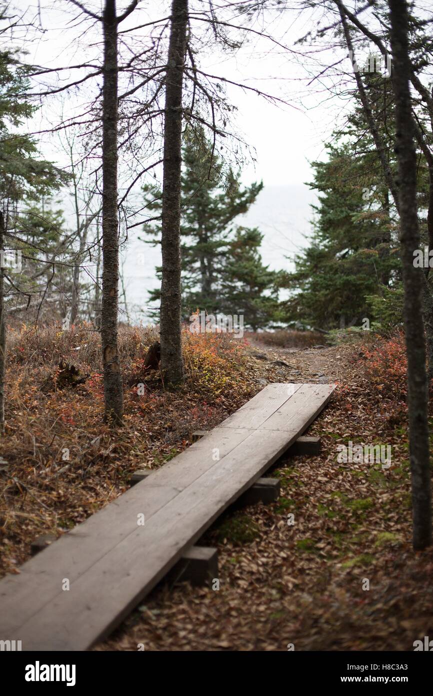 A wooden walkway on a hiking trail at Tettegouche state park near Two ...