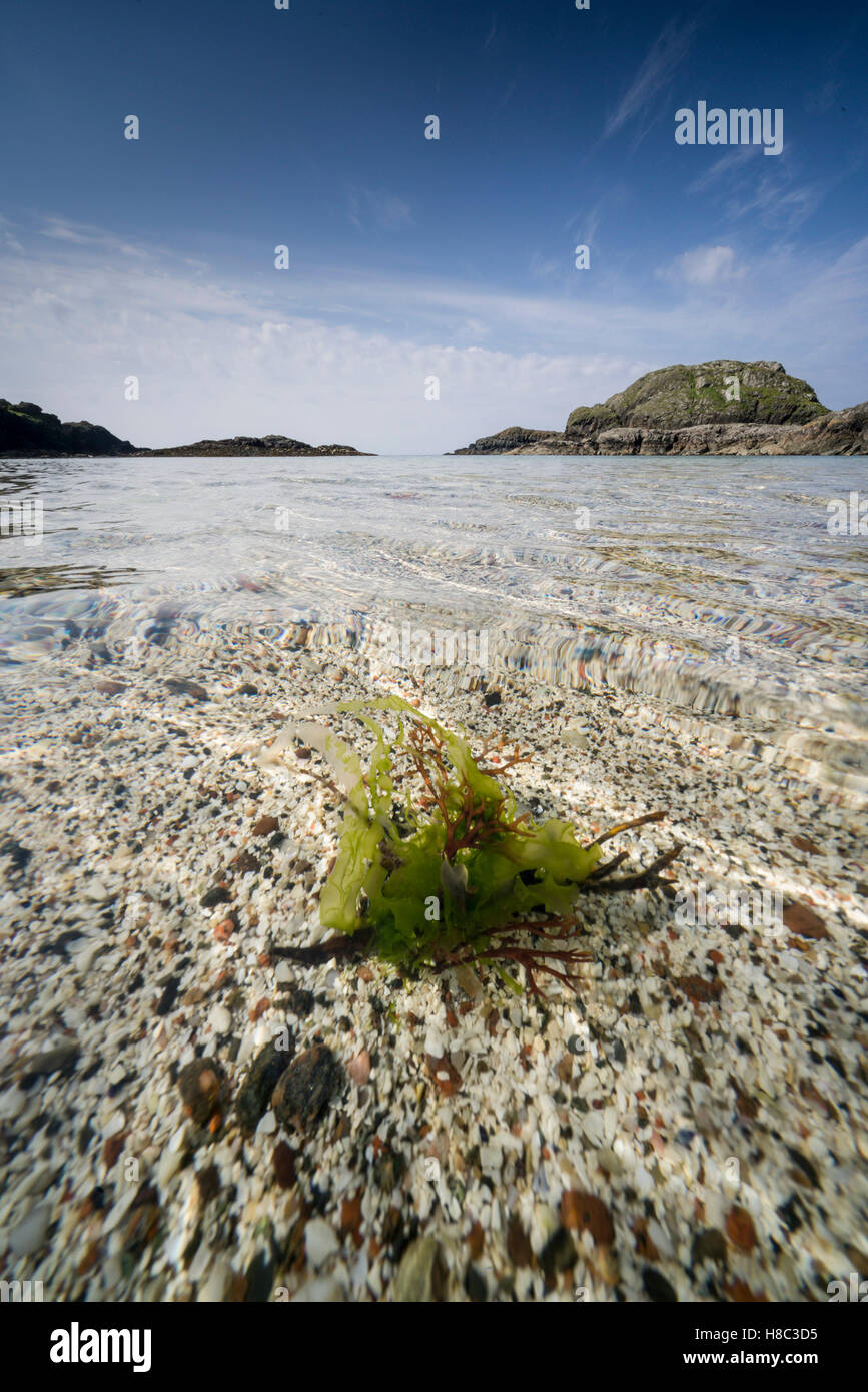 Scottish water ban hi-res stock photography and images - Alamy