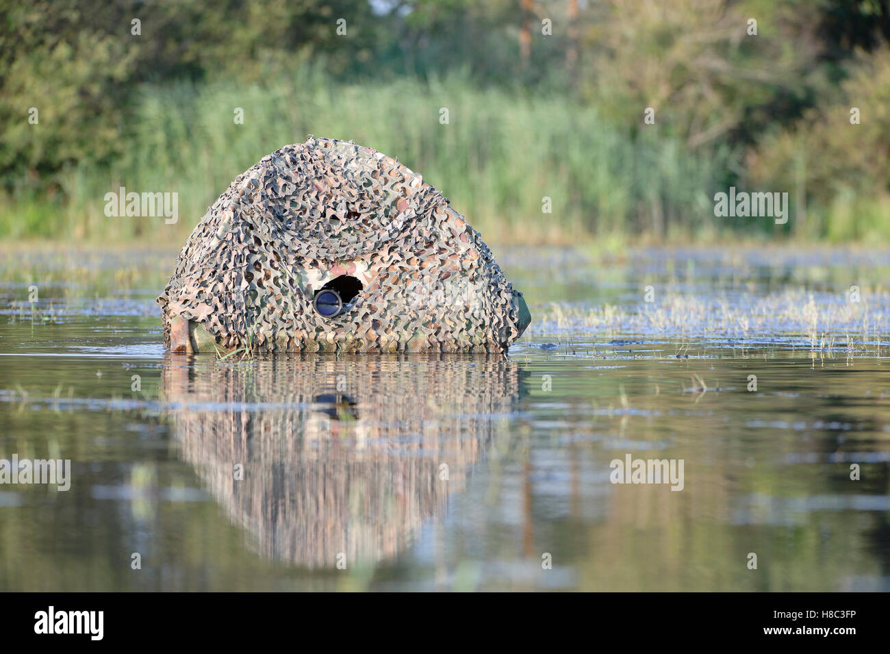 Nature photographer on floating hide, La Brenne, Indre, France Stock Photo - Alamy