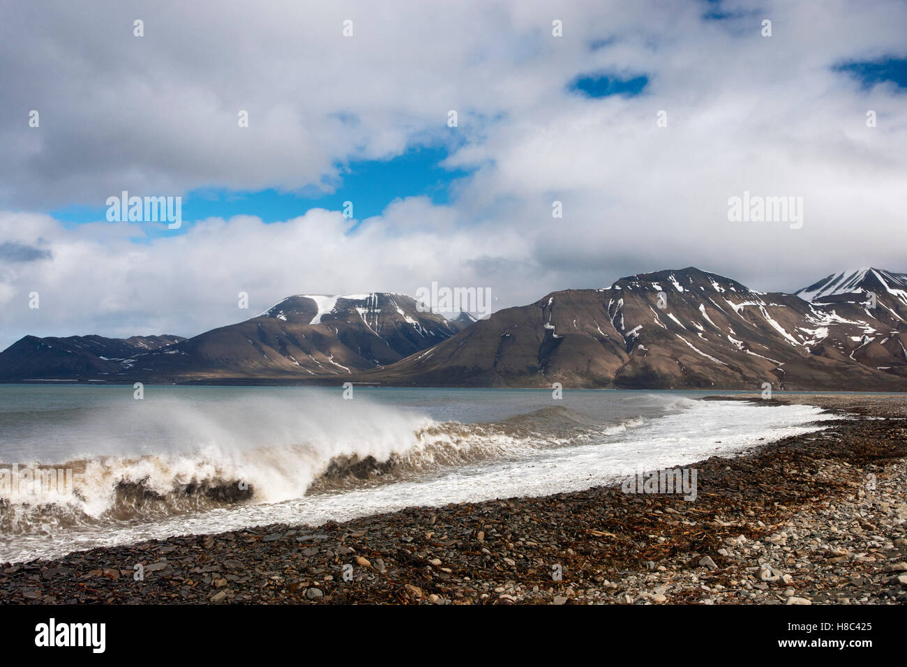 Coastal landscape, Isfjorden, Svalbard, Arctic Ocean, Norway Stock ...