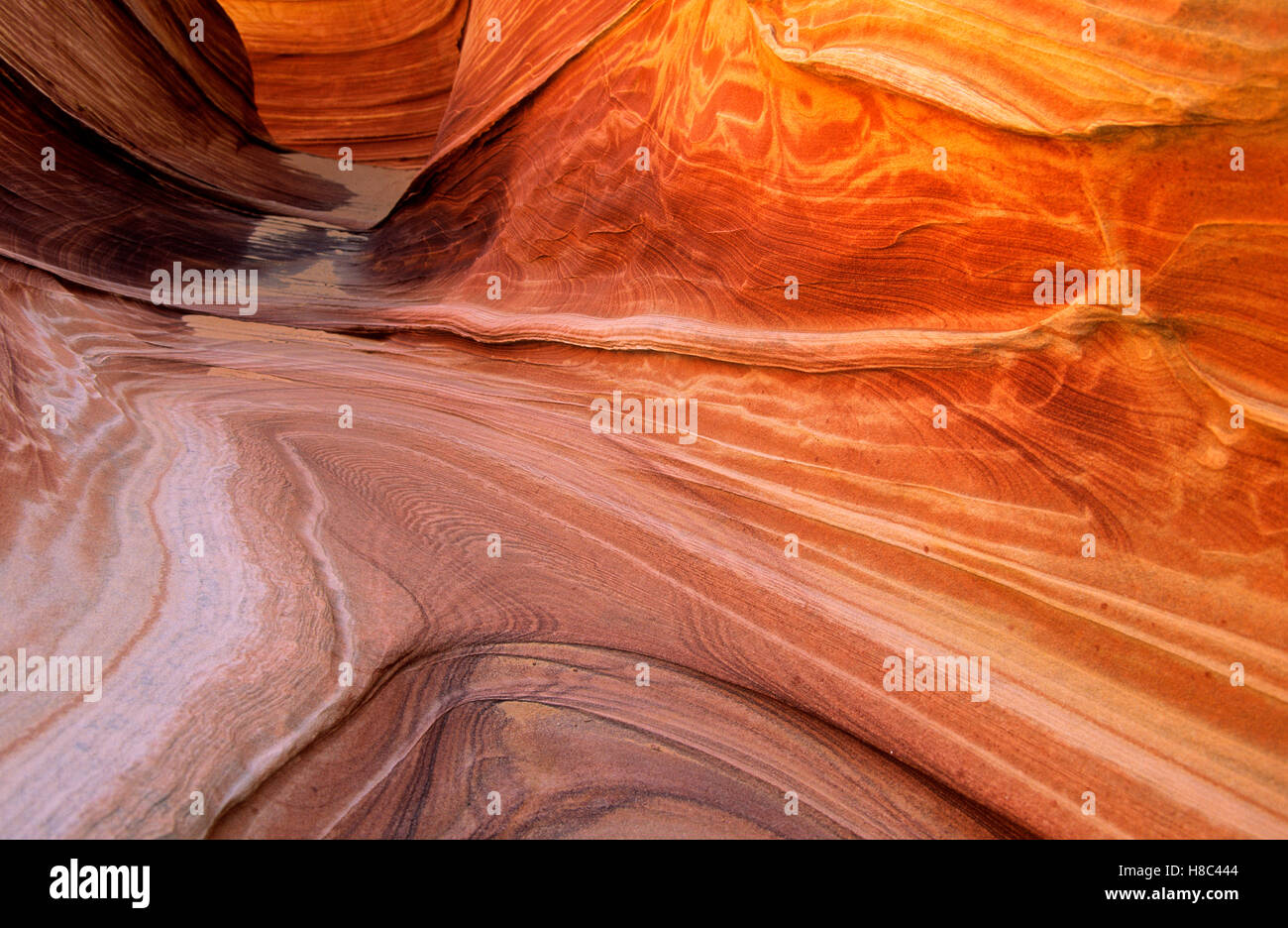 Wavelike sedimentary rock patterns, Paria Canyon, Arizona Stock Photo ...