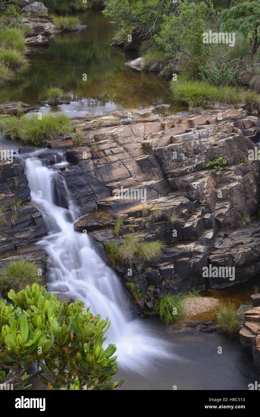 Imagery of nature hi-res stock photography and images - Alamy