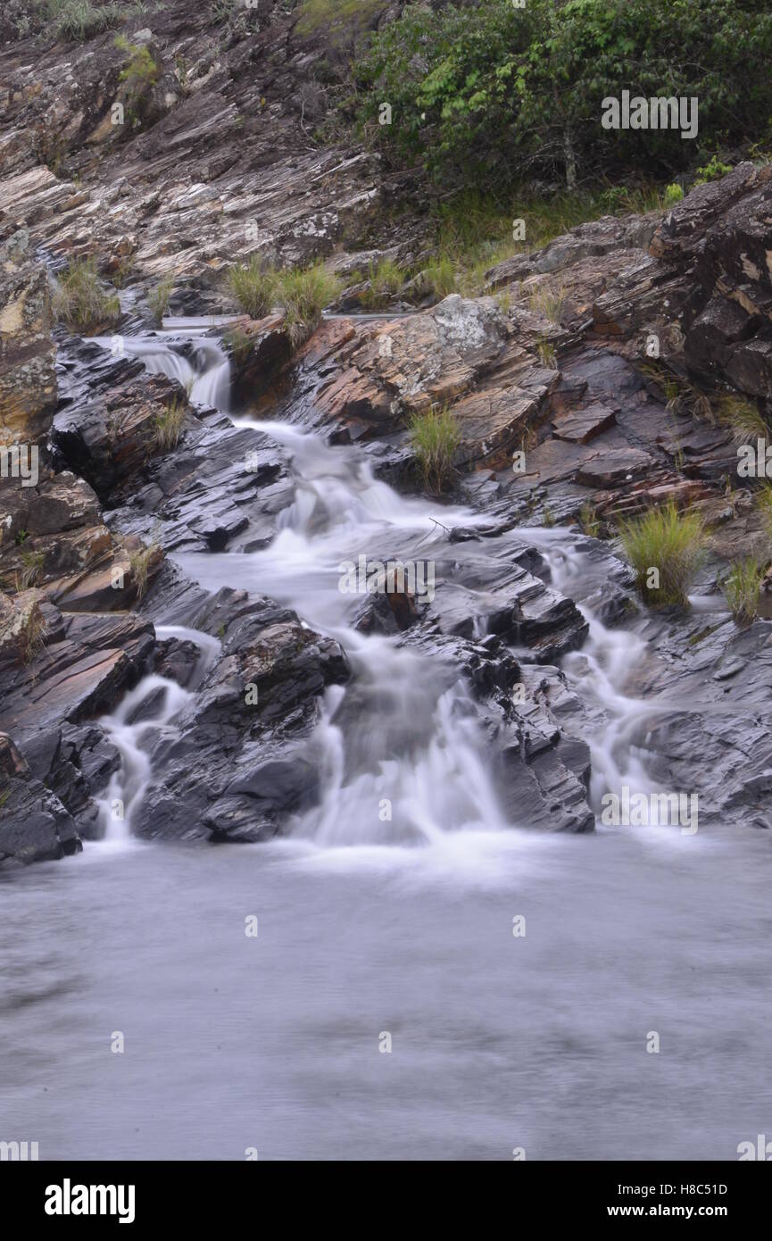 Nature imagery hi-res stock photography and images - Alamy