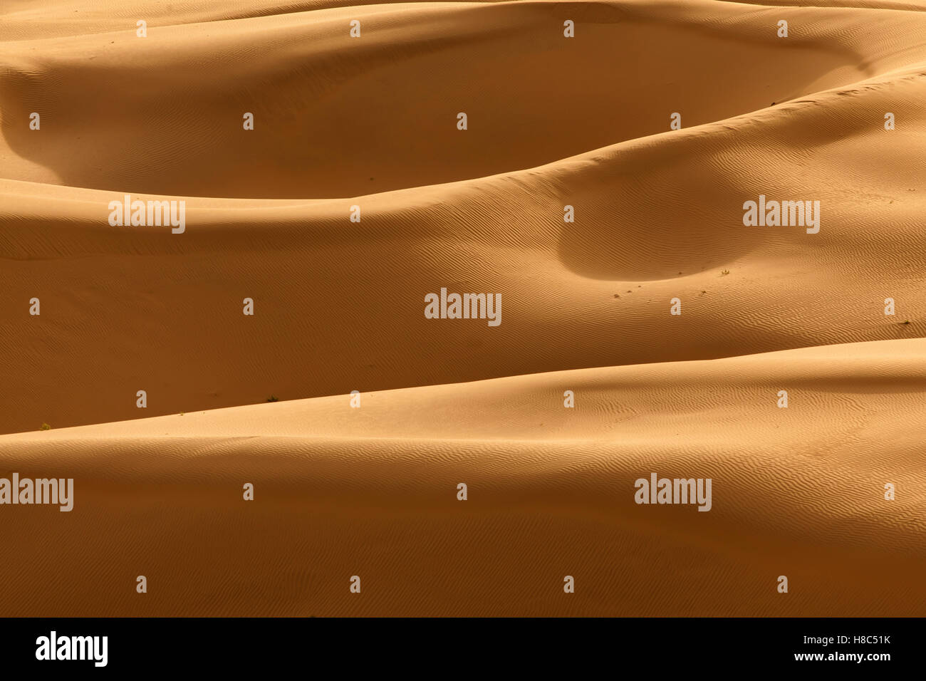 Kubuqi desert at sunset, Kubuqi Desert, Inner Mongolia Autonomous ...