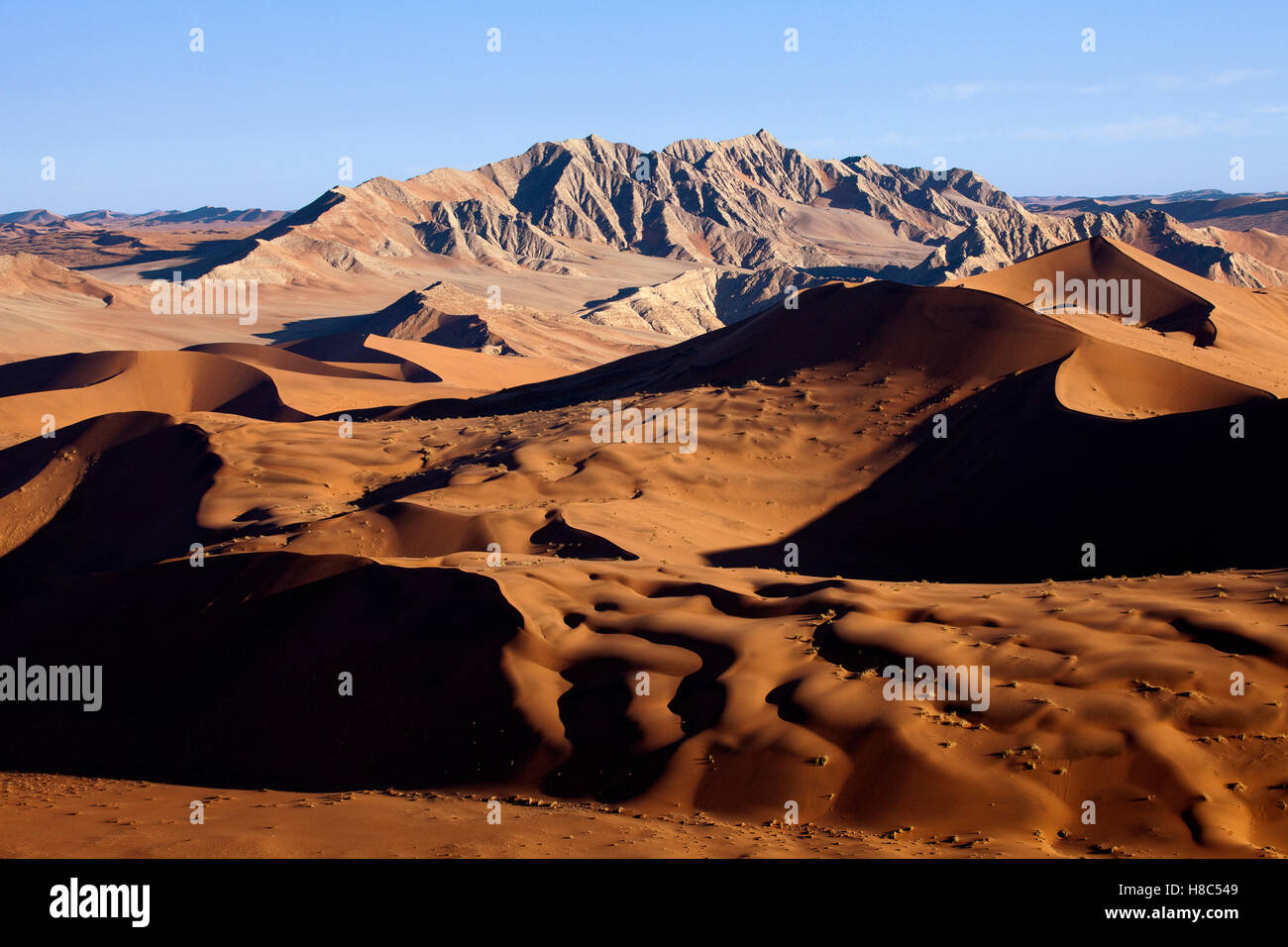 Sand dune landscape, Sossusvlei, Namib-Naukluft National Park, Namib ...