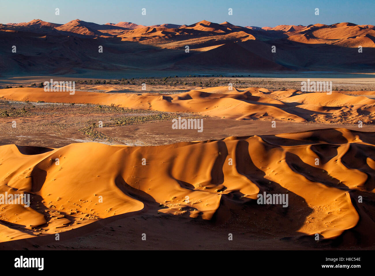 Sand dune landscape, Sossusvlei, Namib-Naukluft National Park, Namib ...