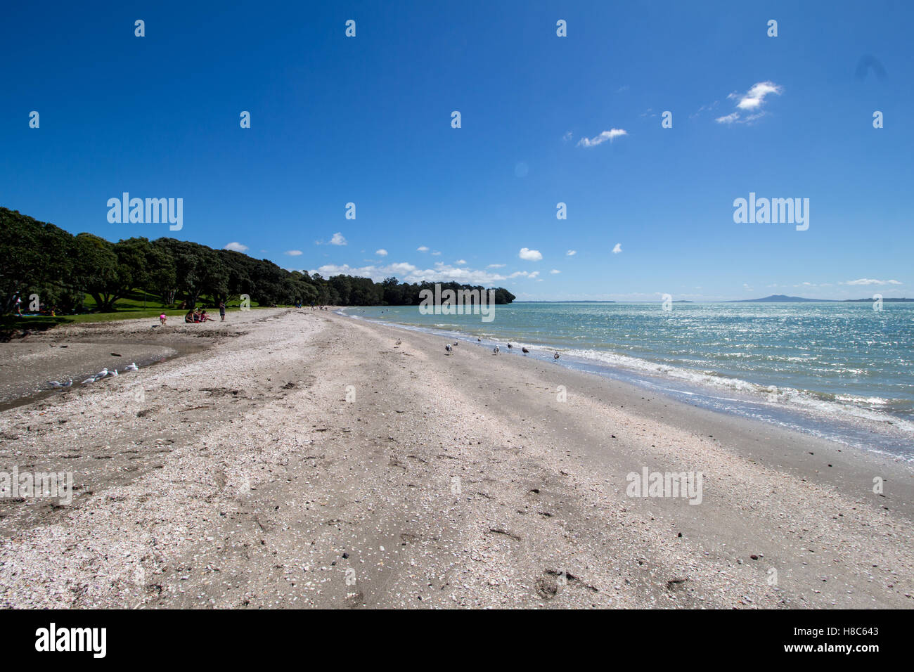 Maraetai Stock Photos & Maraetai Stock Images - Alamy
