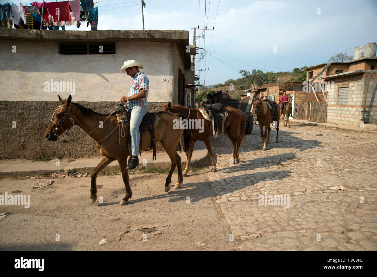 A Cuban cowboy rides his horse while leading a string of horses through ...
