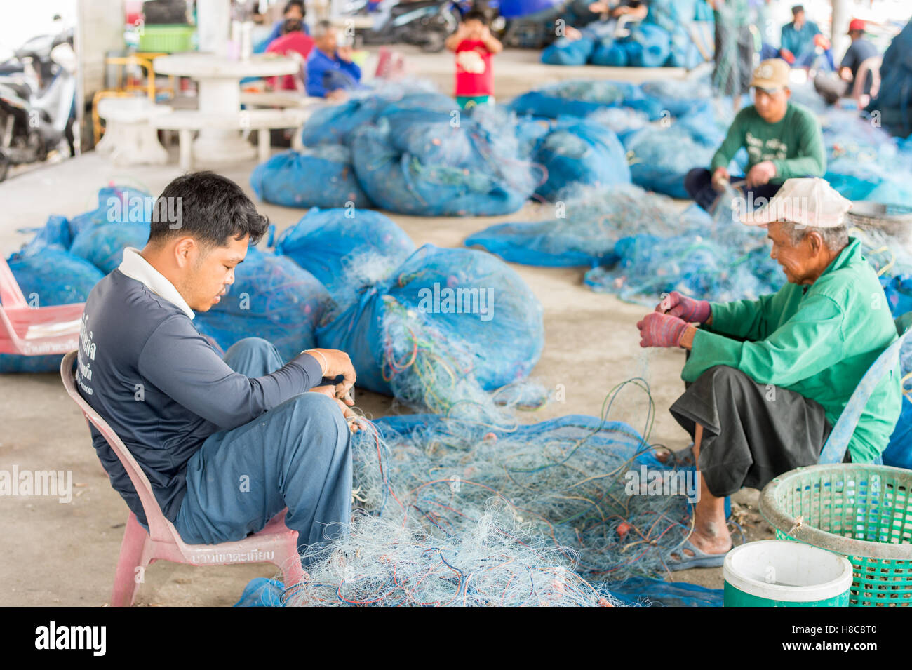 Thai people collect catch of sea food from fishing net in a village ...