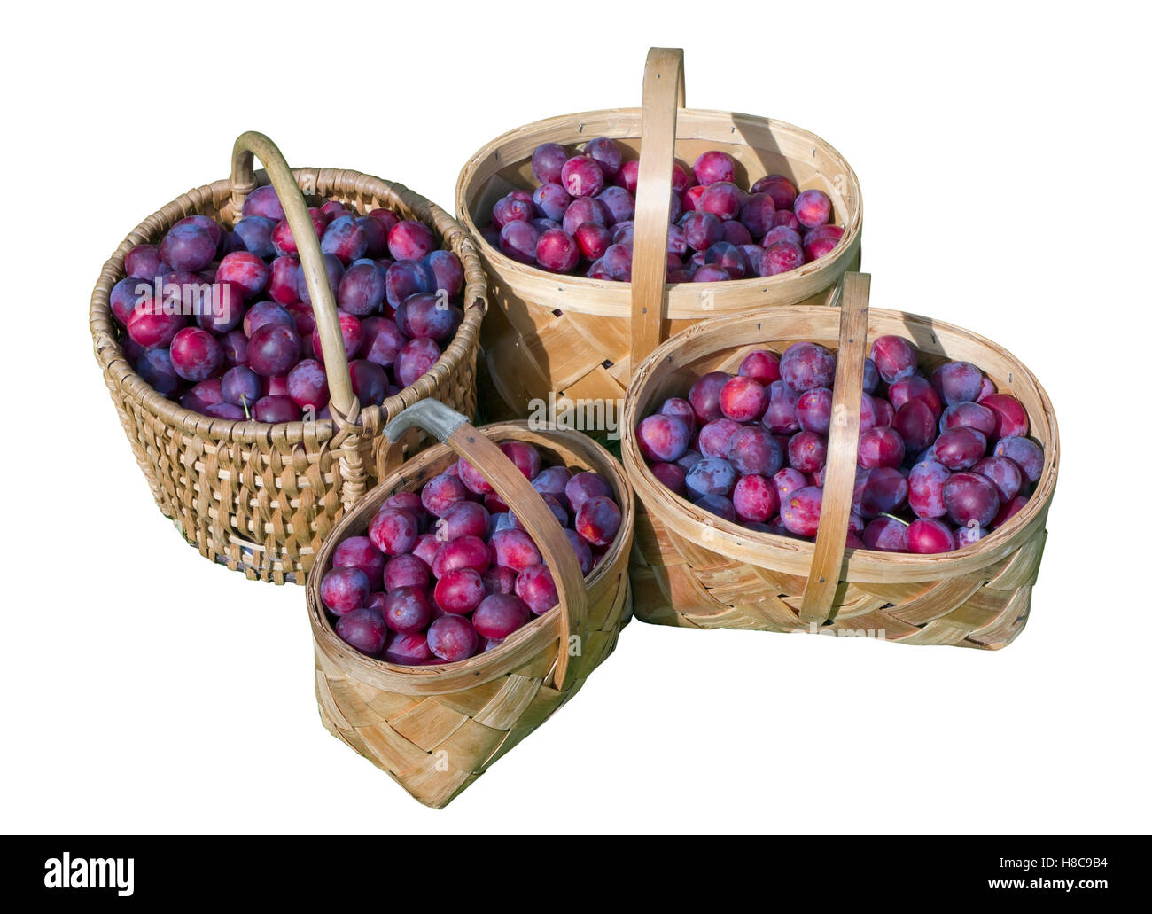 Four wattled rural handmade baskets with blue plums. Isolated Stock ...