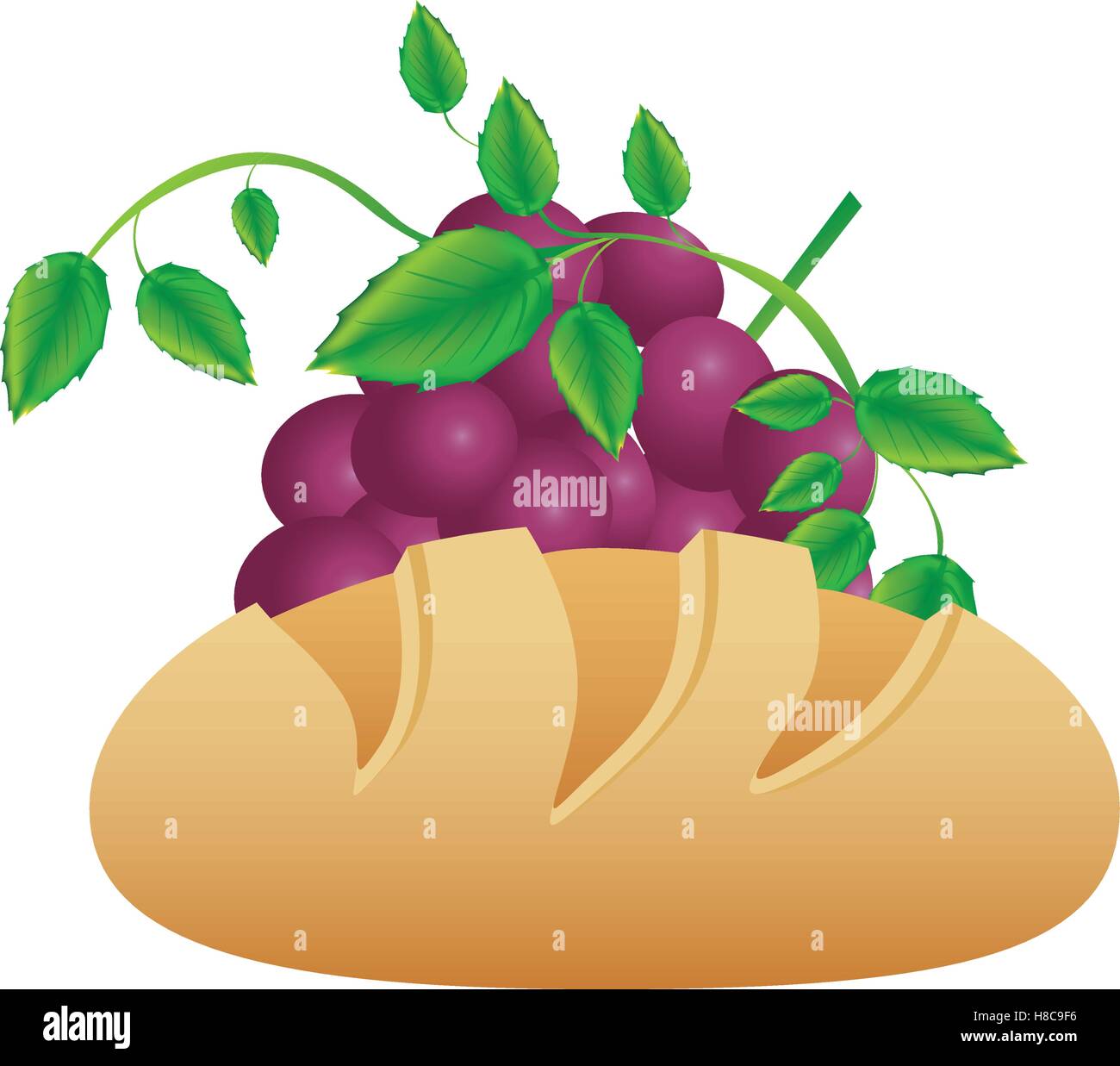Grapes seed Stock Vector Images - Alamy