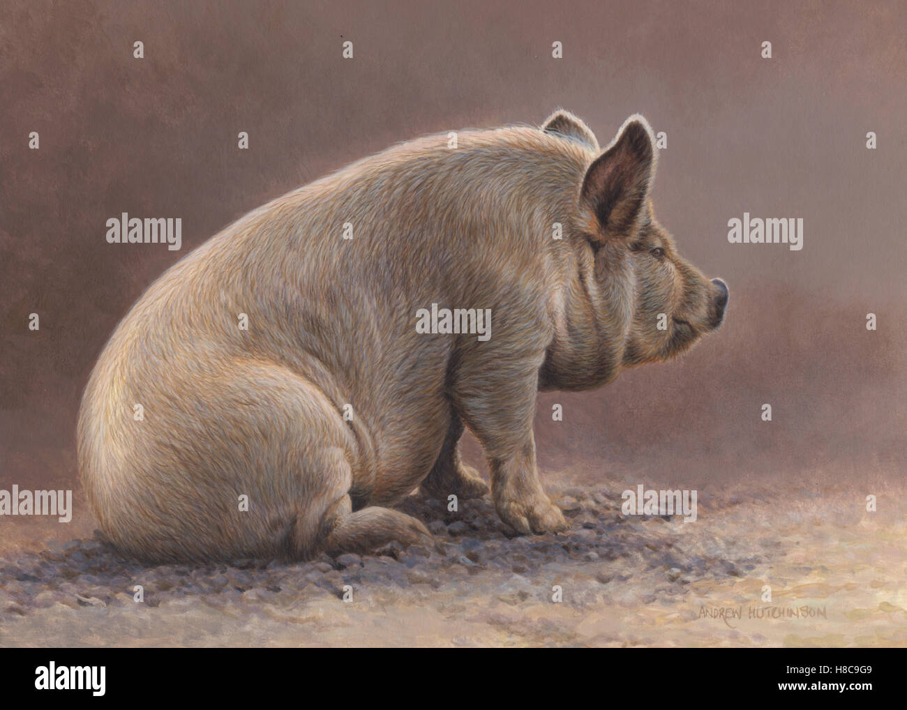 Pig illustrations hi-res stock photography and images - Alamy