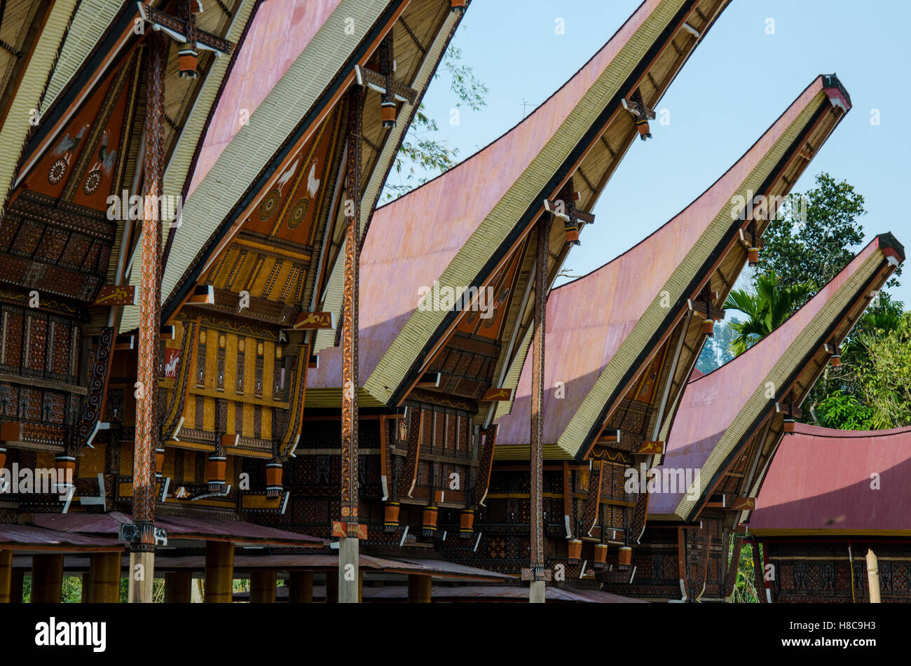 Tongkonan architecture hi-res stock photography and images - Alamy