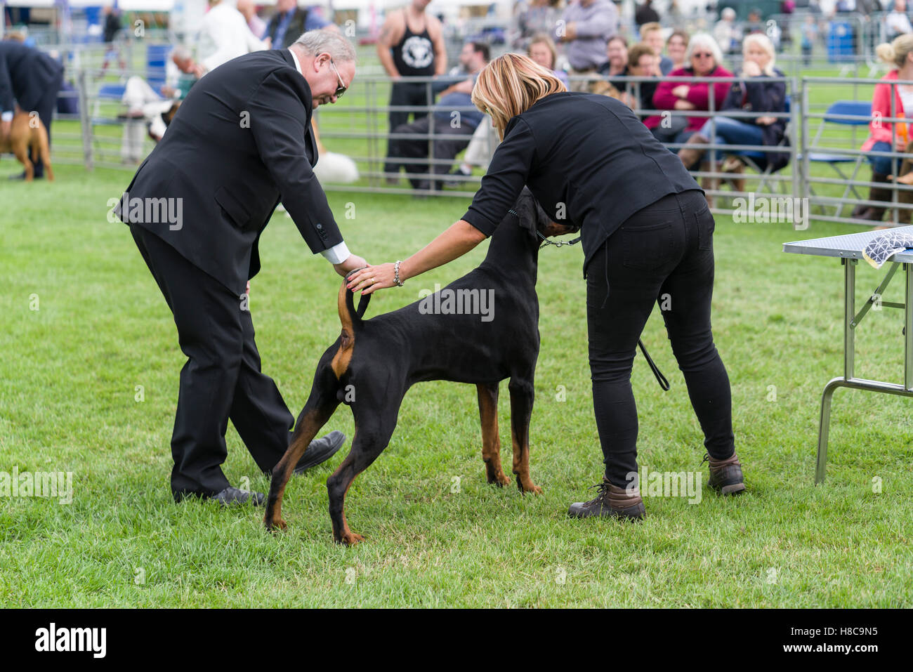 Border Union Showground Kelso High Resolution Stock Photography and ...