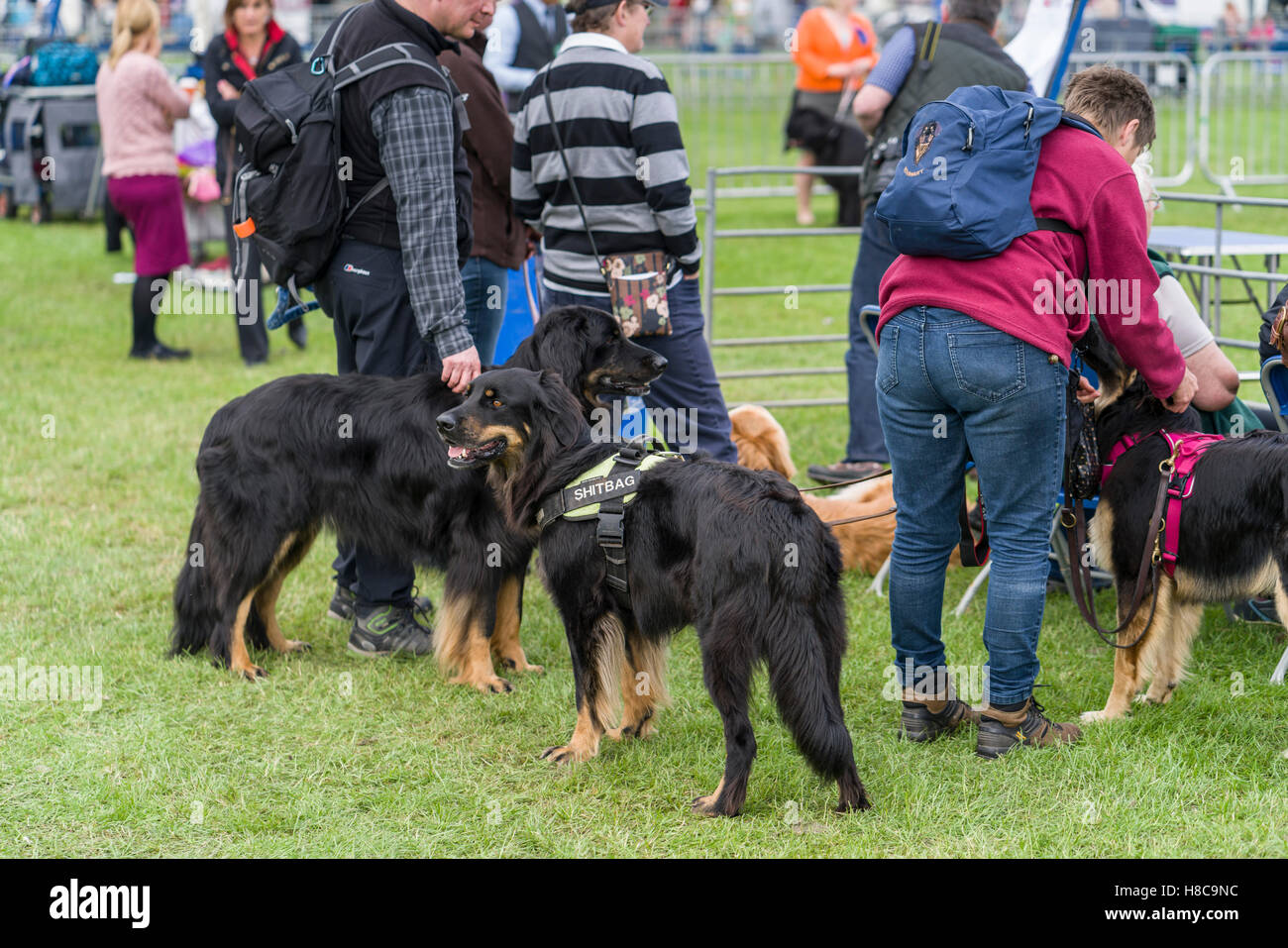 Border union showground hi-res stock photography and images - Alamy