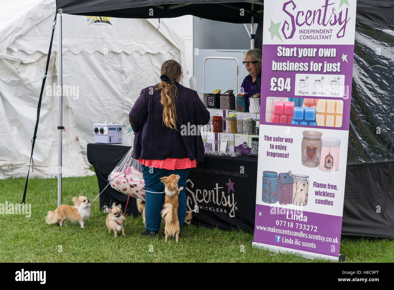 It's a dog's life - at the Border Union showground in Kelso ...