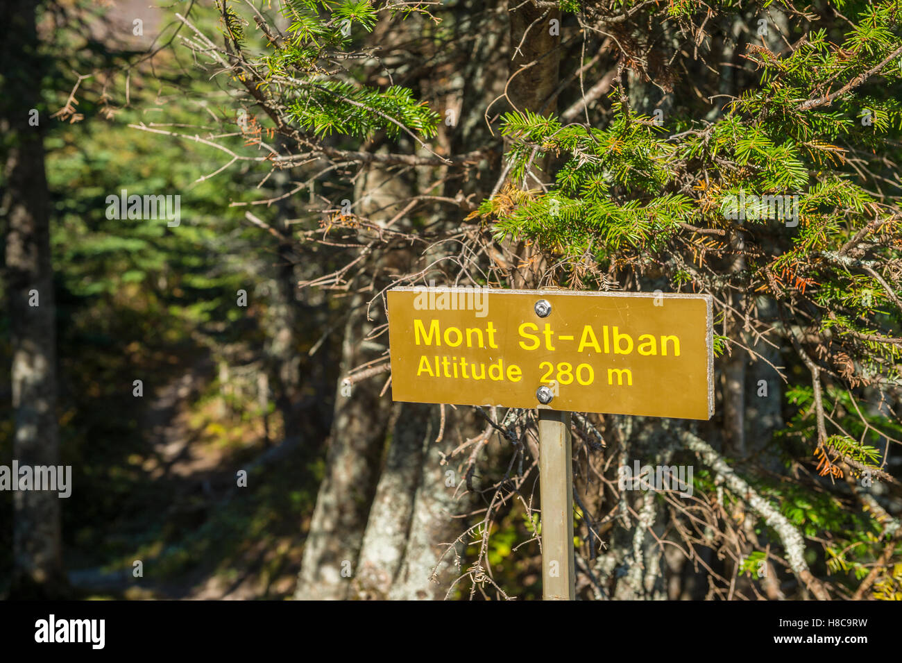 Parc national du forillon hi-res stock photography and images - Alamy